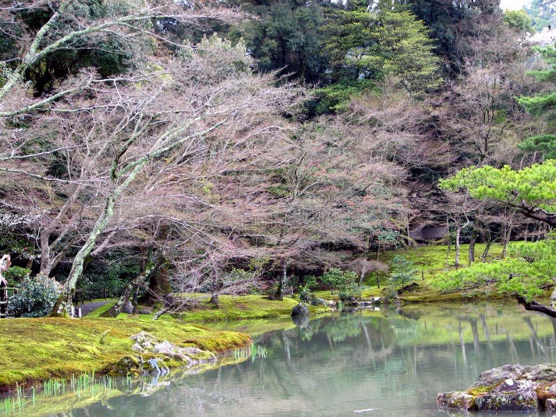Kyoto Spring stock image. Image of color, romantic, lake - 13230369