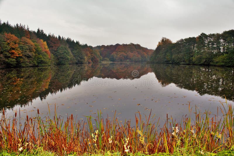 Kyre Pools Stock Photos - Free & Royalty-Free Stock Photos from Dreamstime