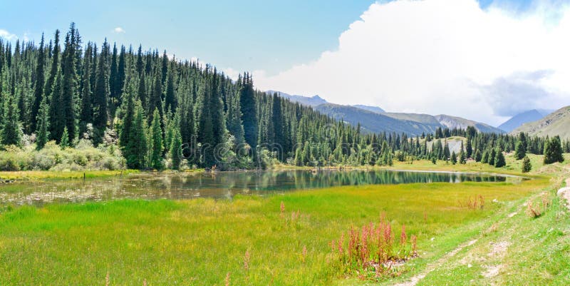 Kyrgyzstan Nature, Gregory Gorge Stock Photo - Image of area, central ...