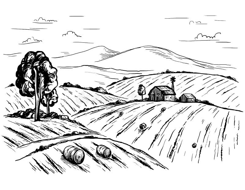 Ländliche Grafische Landschaft Vektor Abbildung - Illustration von ...
