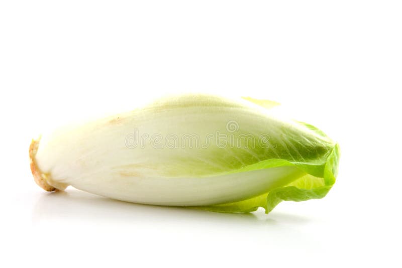 Légume d'endive photo stock. Image du savoureux, nature - 10602804