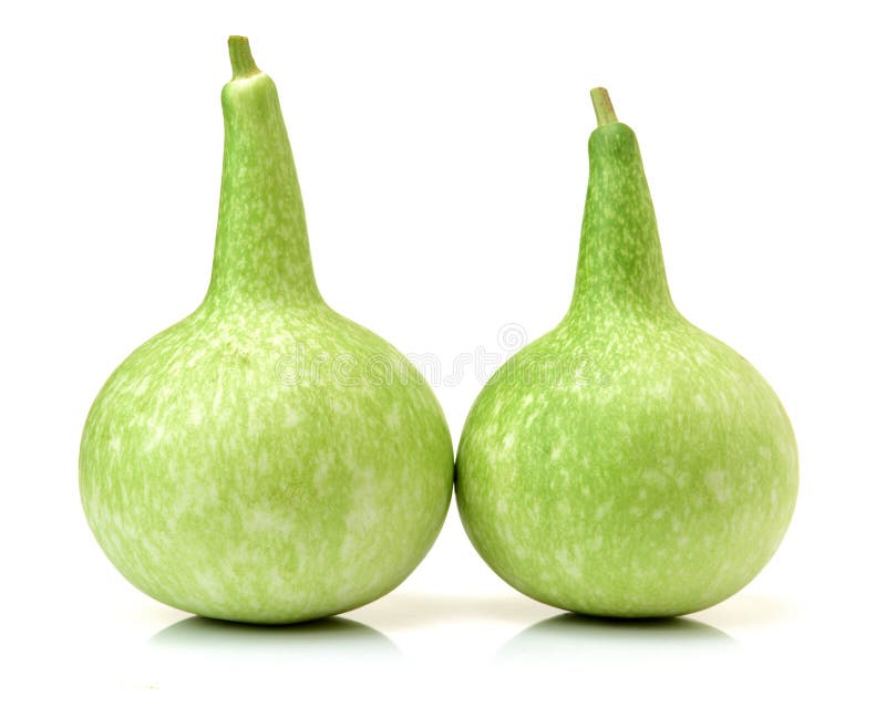 Légume de calebasse VI image stock. Image du famille - 56726531