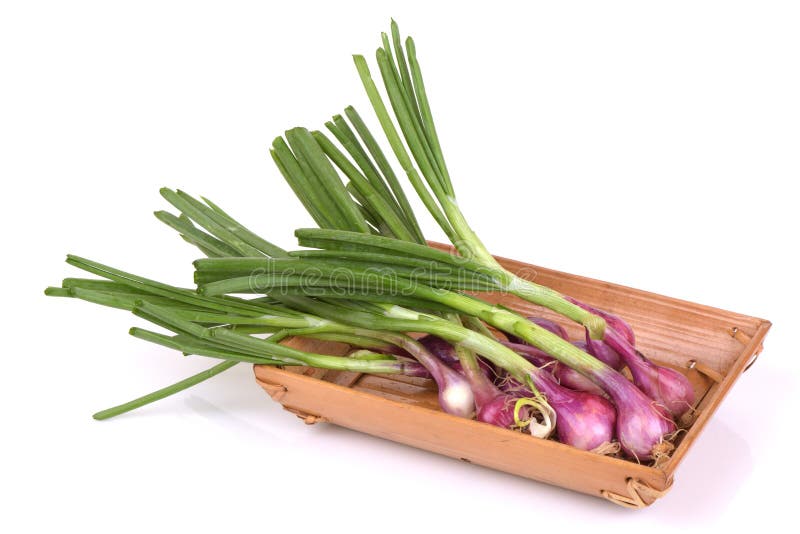 Légume vert d'échalote image stock. Image du ayez, denrée - 95799109