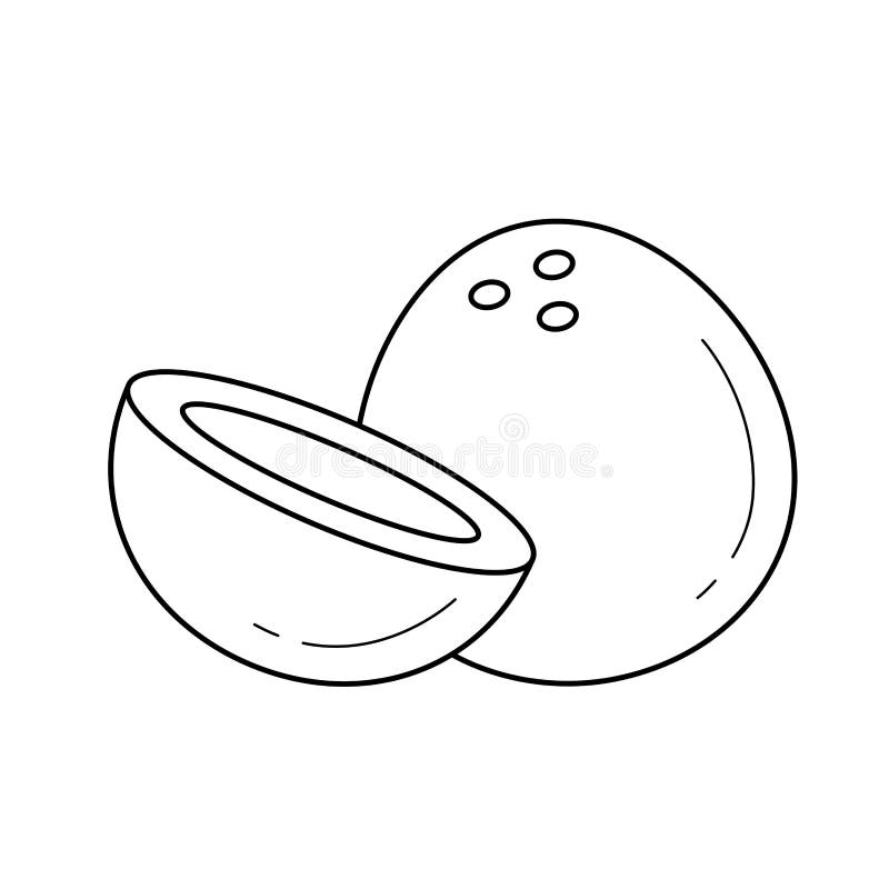 Línea Icono Del Vector Del Coco Ilustración del Vector - Ilustración de ...