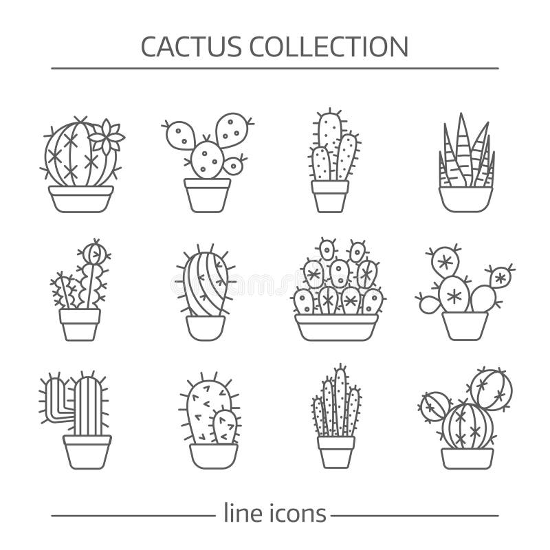 Línea Iconos Del Color Del Cactus Ilustración del Vector - Ilustración ...