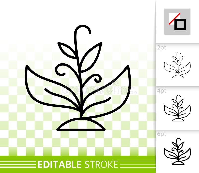 Icono Vectorial Plano De La Planta De Brotes De Flores Ilustración del ...