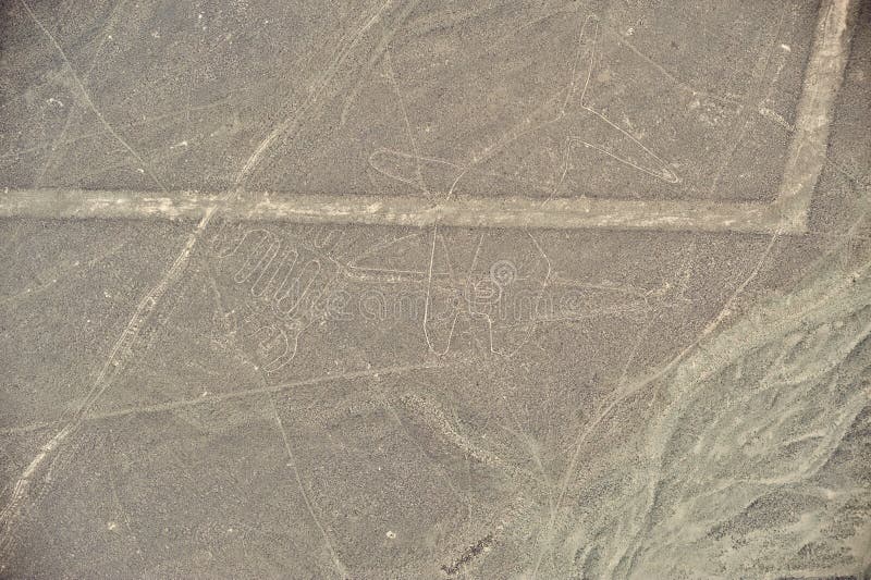 Líneas De Nazca - La Ballena Imagen de archivo - Imagen de aéreo ...