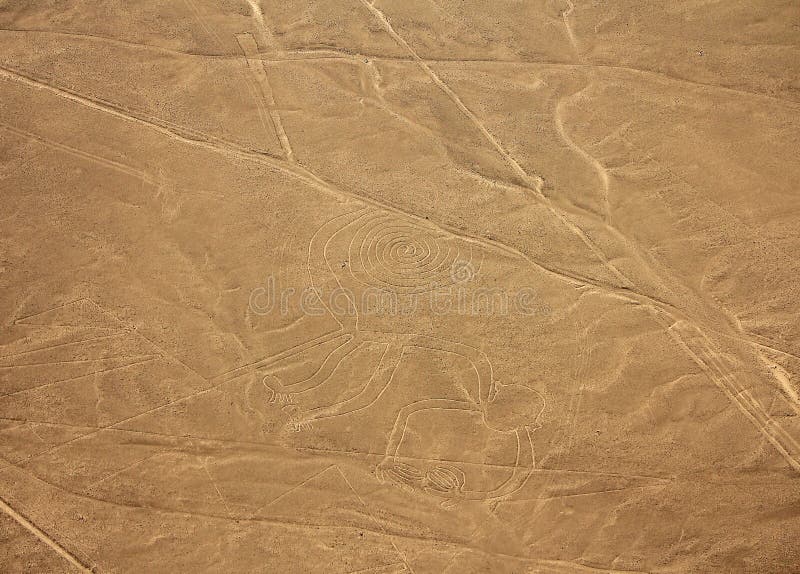 Líneas de Nazca - mono imagen de archivo. Imagen de aéreo - 73374281
