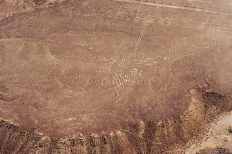 Líneas Y Geoglyphs De Nazca Foto de archivo - Imagen de ballena ...