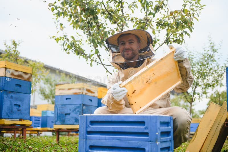 L'apiculteur Travaille Avec Les Abeilles Et Les Abeilles Sur L'apiaire ... L'apiculteur Travaille Avec Les Abeilles Et Les Abeilles Sur L'apiaire ...