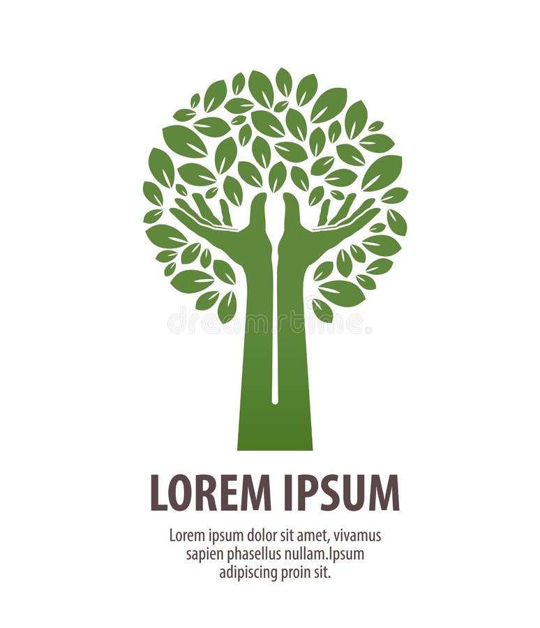 Logo Ou Symbole Darbre Nature écologie Icône Denvironnement