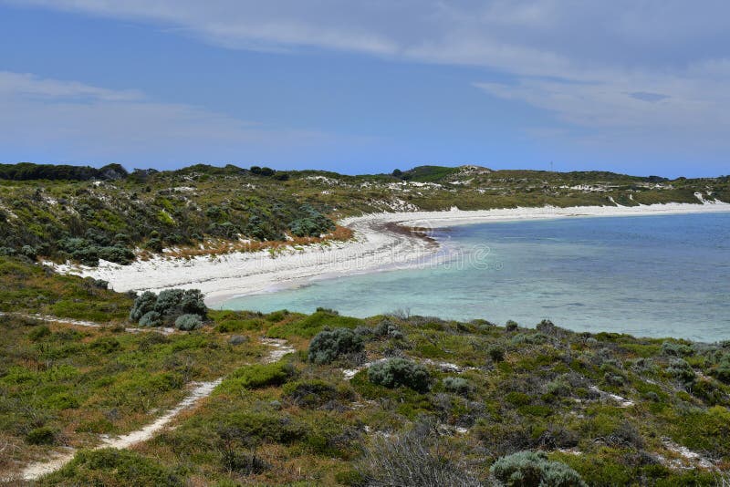 L'Australia, Isola Di Rottnest Fotografia Stock - Immagine di australia ...