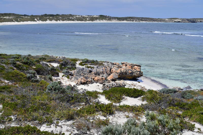 L'Australia, Isola Di Rottnest Fotografia Stock - Immagine di australia ...