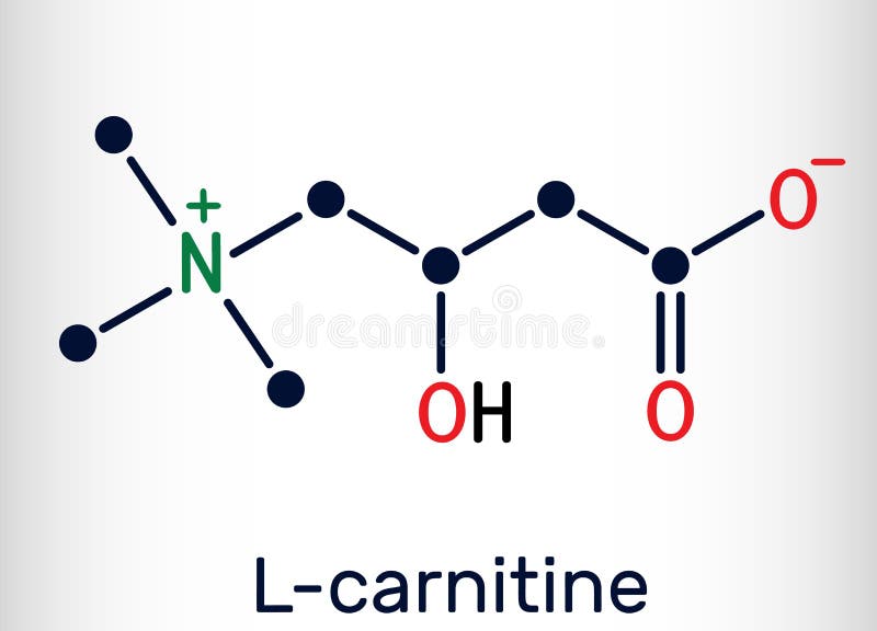 L Carnitine Stock Illustrations – 155 L Carnitine Stock Illustrations ...