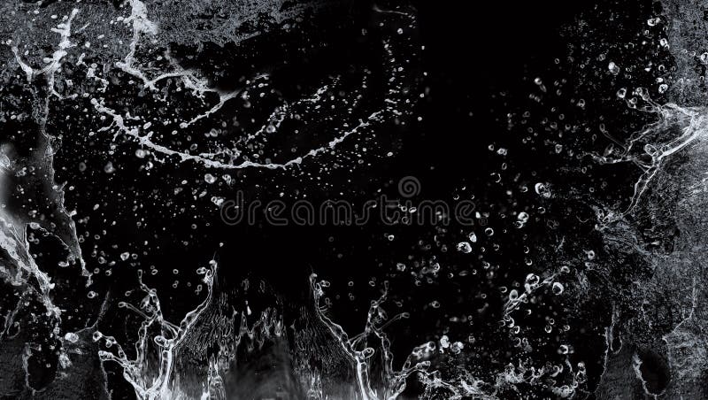 Cheval noir de l'eau photo stock. Image du action, nature - 10726212