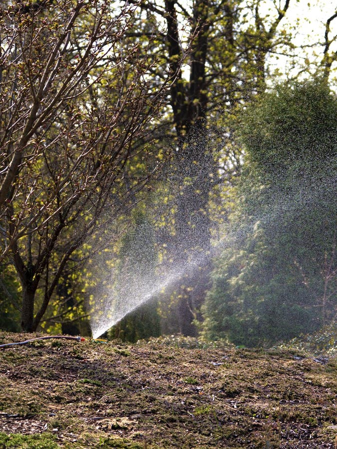L'eau De Pulv?risation D'arroseuse Sur La Pelouse Accident?e De Ressort Image stock - Image du ...