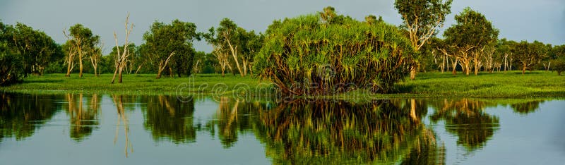 Verres De Preuve De L'eau Jaune Et Rouge D'isolement Sur Le Fond Blanc ...