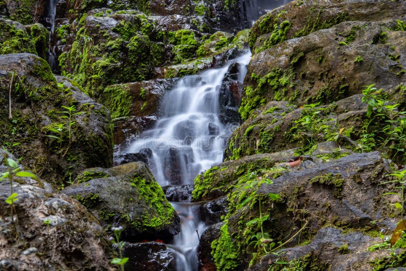 L'eau Traverse La Roche De Mousse Comme Une Petite Cascade Image stock ...