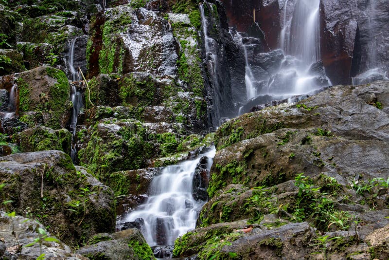 L'eau Traverse La Roche De Mousse Comme Une Petite Cascade Photo stock ...