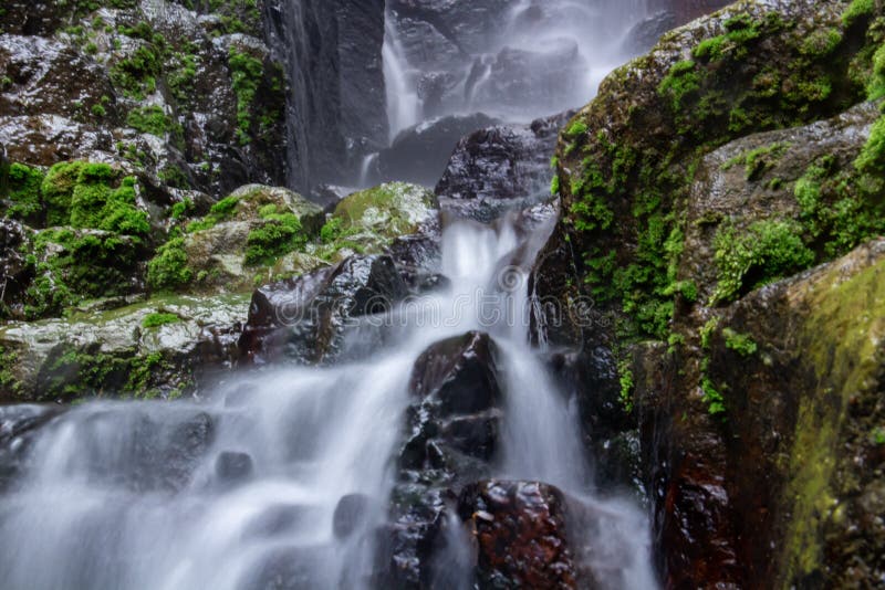 L'eau Traverse La Roche De Mousse Comme Une Petite Cascade Image stock ...