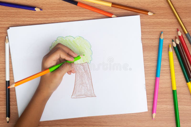 L'enfant Dessine Un Dessin Au Crayon De L'arbre Photo stock - Image du ... L'enfant Dessine Un Dessin Au Crayon De L'arbre Photo stock - Image du ...