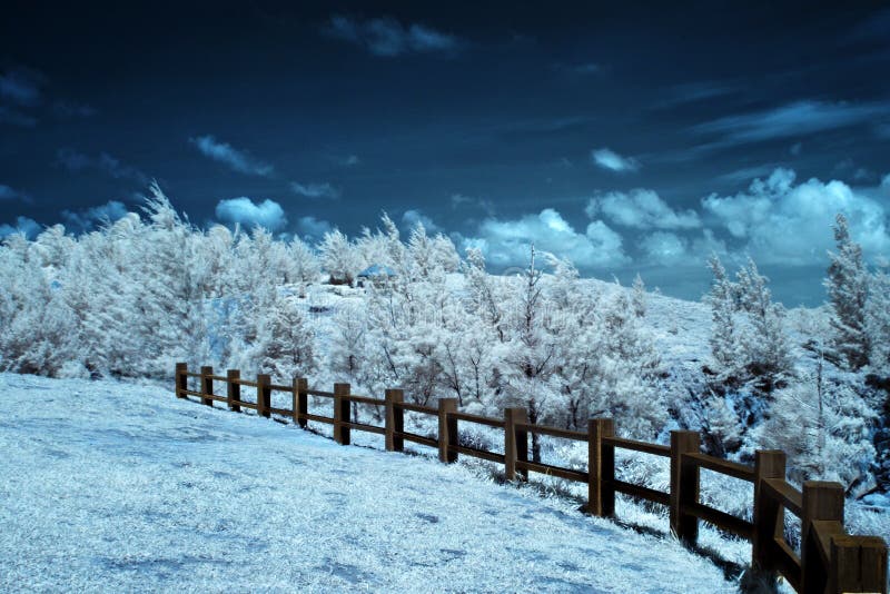 L'hiver de l'équateur image stock. Image du nuages, blanc - 10412833