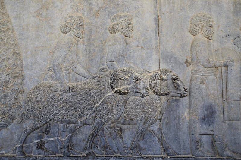 L'Iran, Soulagements Dans Le Complexe Antique De Persepolis Photo stock ...