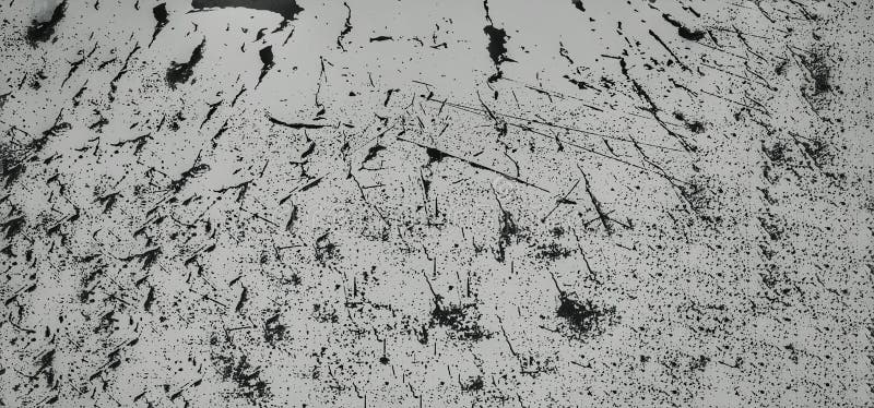 226 L Theme Background Stock Photos - Free & Royalty-Free Stock Photos ...