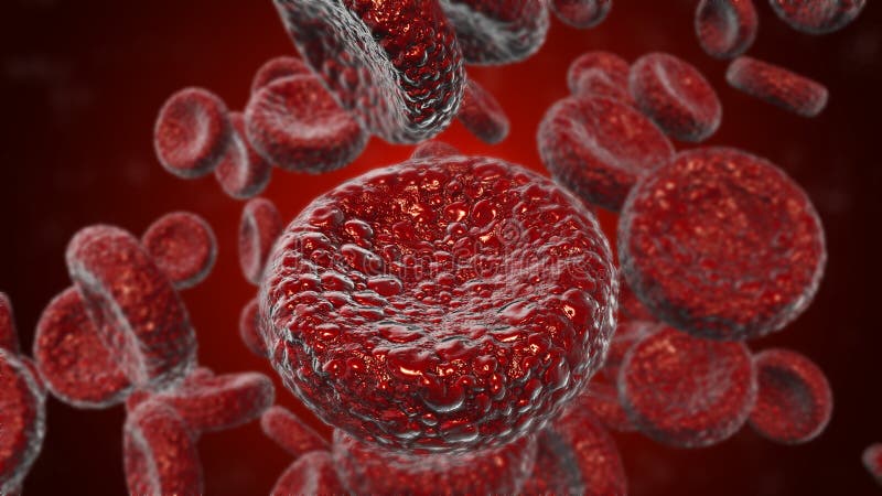 L'utilisation De Globules Rouges Comme Illustration M?dicale Est Une ...