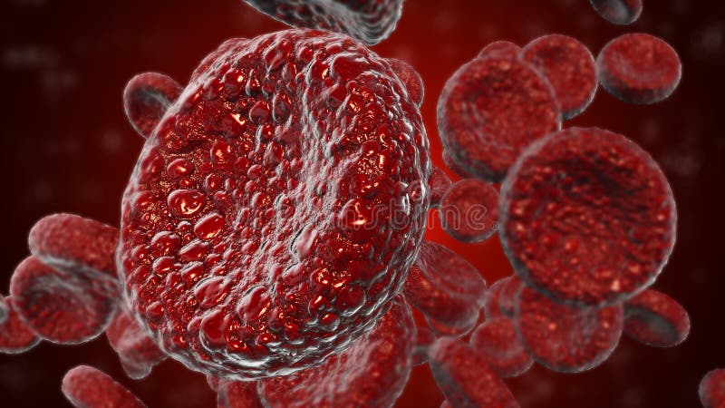 L'utilisation De Globules Rouges Comme Illustration M?dicale Est Une ...