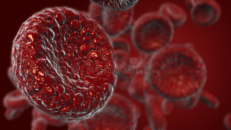 L'utilisation De Globules Rouges Comme Illustration M?dicale Est Une ...