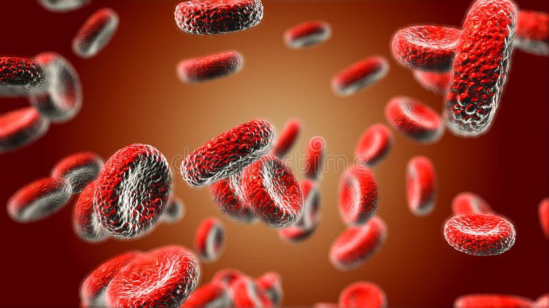 L'utilisation De Globules Rouges Comme Illustration M?dicale Est Une ...