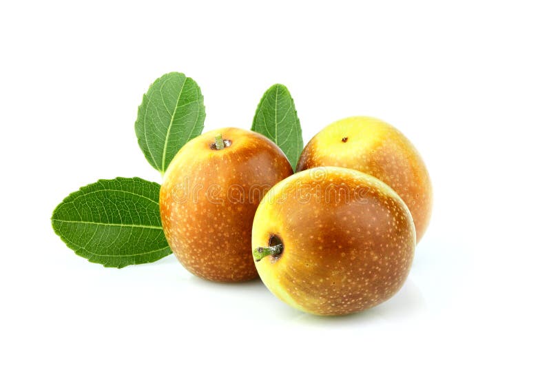 La Azufaifa Da Fruto Ziziphus Con Las Hojas Foto de archivo - Imagen de ...