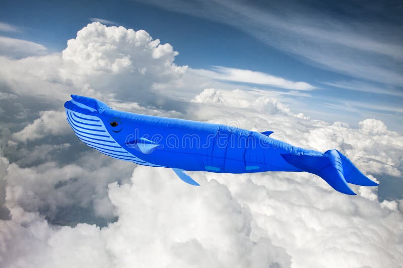 Balena blu fotografia stock. Immagine di spruzzata, nave - 36680876