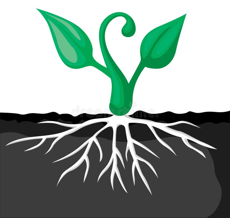 La Bande Dessinée Plante La Pousse Illustration de Vecteur ...