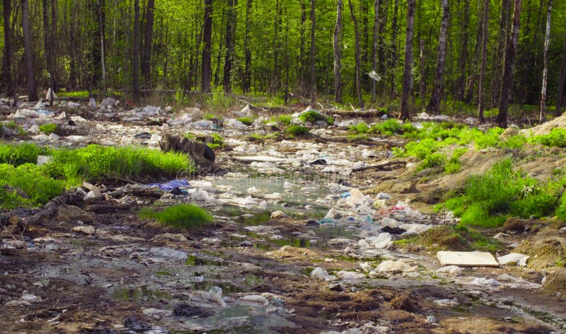 141 Descarga De Basura Bosque Contaminado Fotos de stock - Fotos libres ...