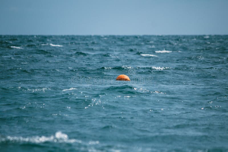 Boa Nel Mare Foto Stock - Download 3,100 Royalty Free Photos