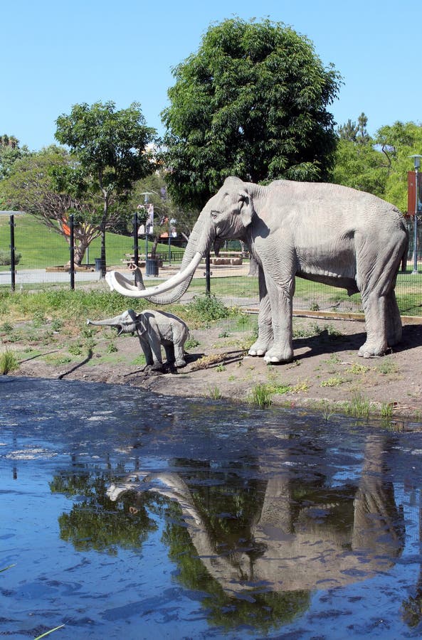 La Brea Tar Pits editorial photo. Image of animals, dedicated - 26178911