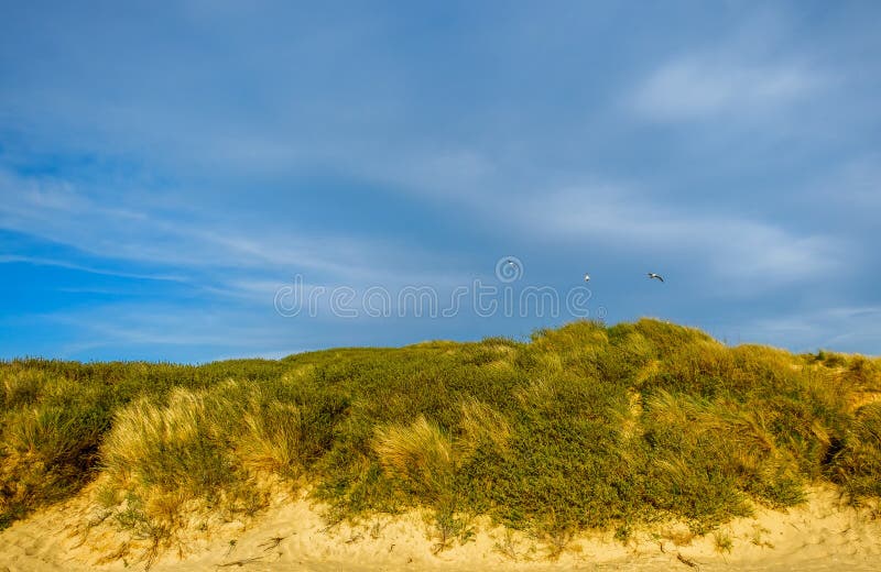 La Cambrure Ponce La Plage Dune-5 Photo stock - Image du centrale ...