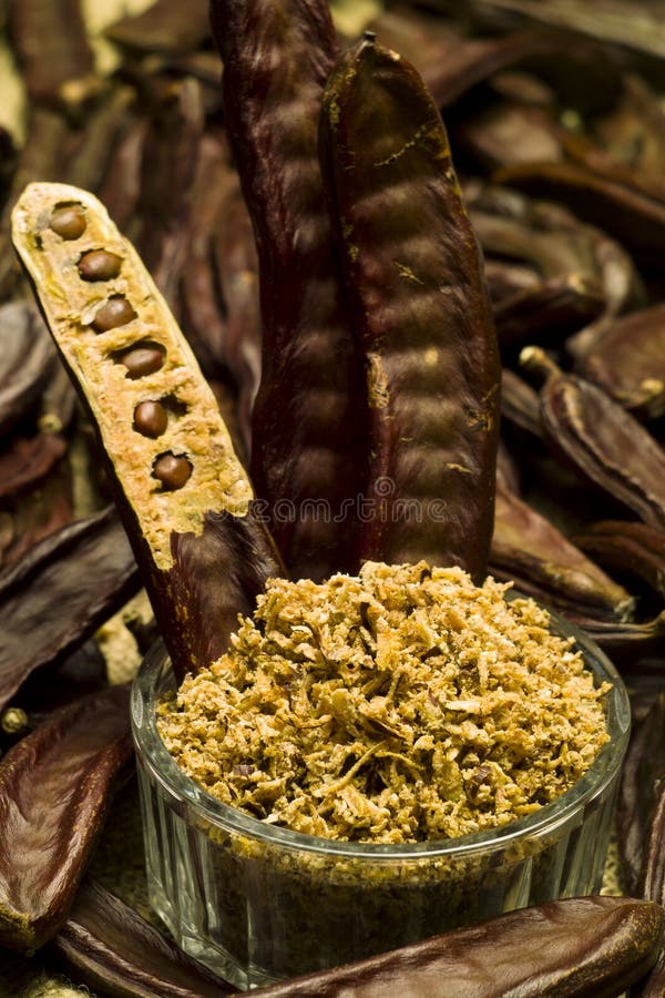 La Carruba (siliqua Di Ceratonia) Fotografia Stock - Immagine di ...