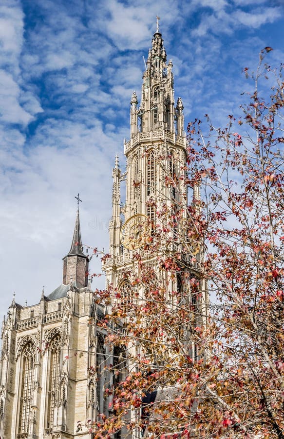 La Cattedrale Di Anversa, Belgio Fotografia Stock - Immagine di ...