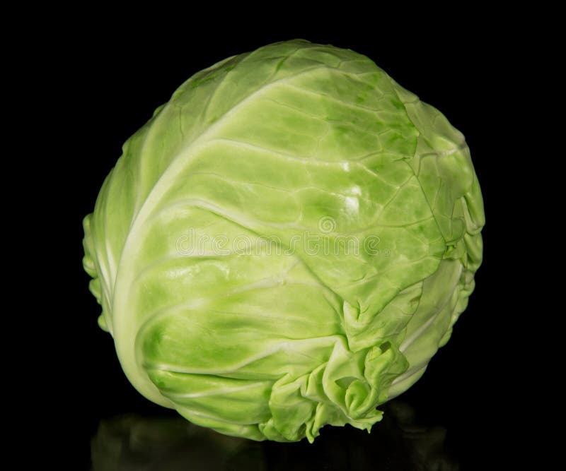 La col blanca imagen de archivo. Imagen de vegetariano - 35174751