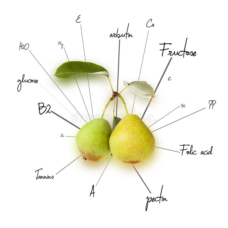La Composition Chimique De La Tomate Photo stock - Image du sain ...