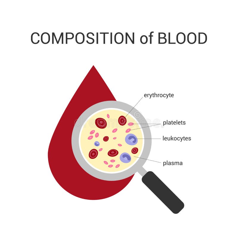 Composizione Di Sangue In Microscopio Illustrazione Vettoriale ...