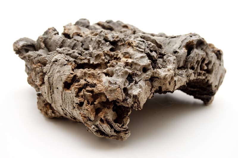 La corteza se seca imagen de archivo. Imagen de secar - 28073093