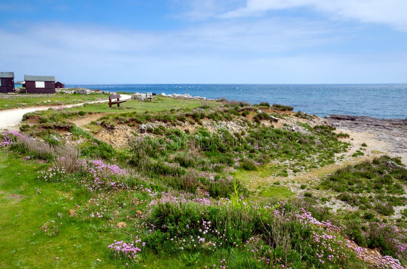 Baia Di Hallelujah, Isola Di Portland, Costa Giurassica, Dorset, Regno ...