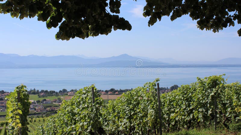 Lago Cote, Costa Rica foto de archivo. Imagen de viaje - 104808694