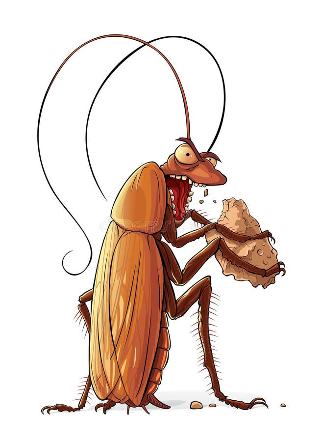 Cucaracha Ilustraciones Stock, Vectores, Y Clipart – (12,870 ...