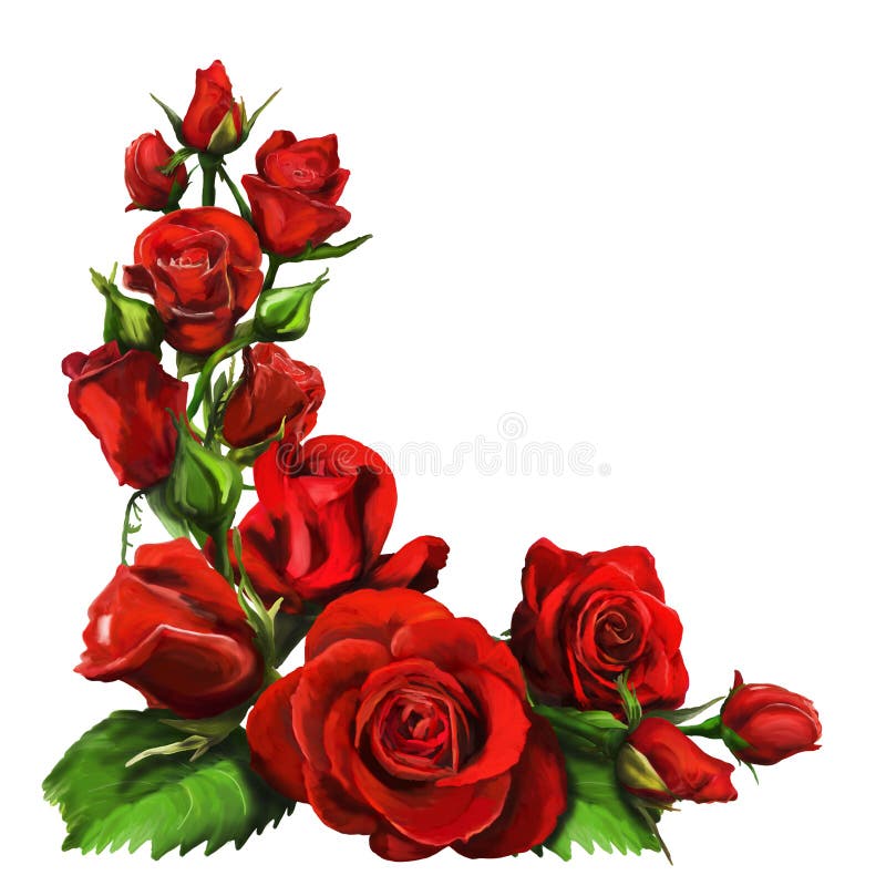 Roses illustration stock. Illustration du jardin, fleurs - 24104687