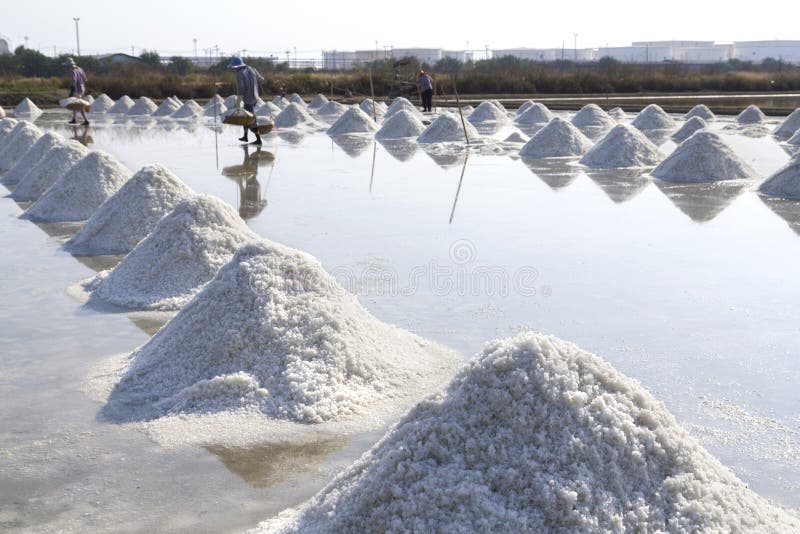 La Fabrication Du Sel De Mer Dans La Ferme De Sel Image stock - Image ...